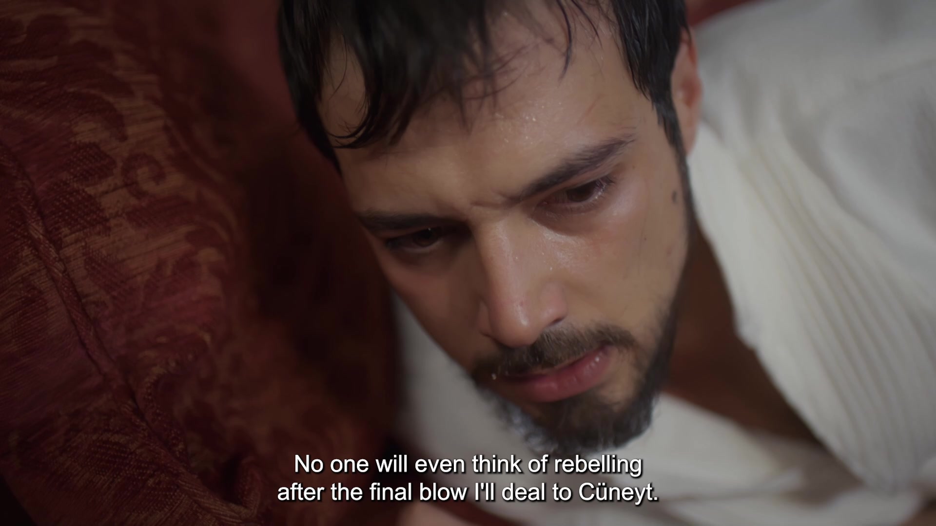 Red Roses - Global Agency